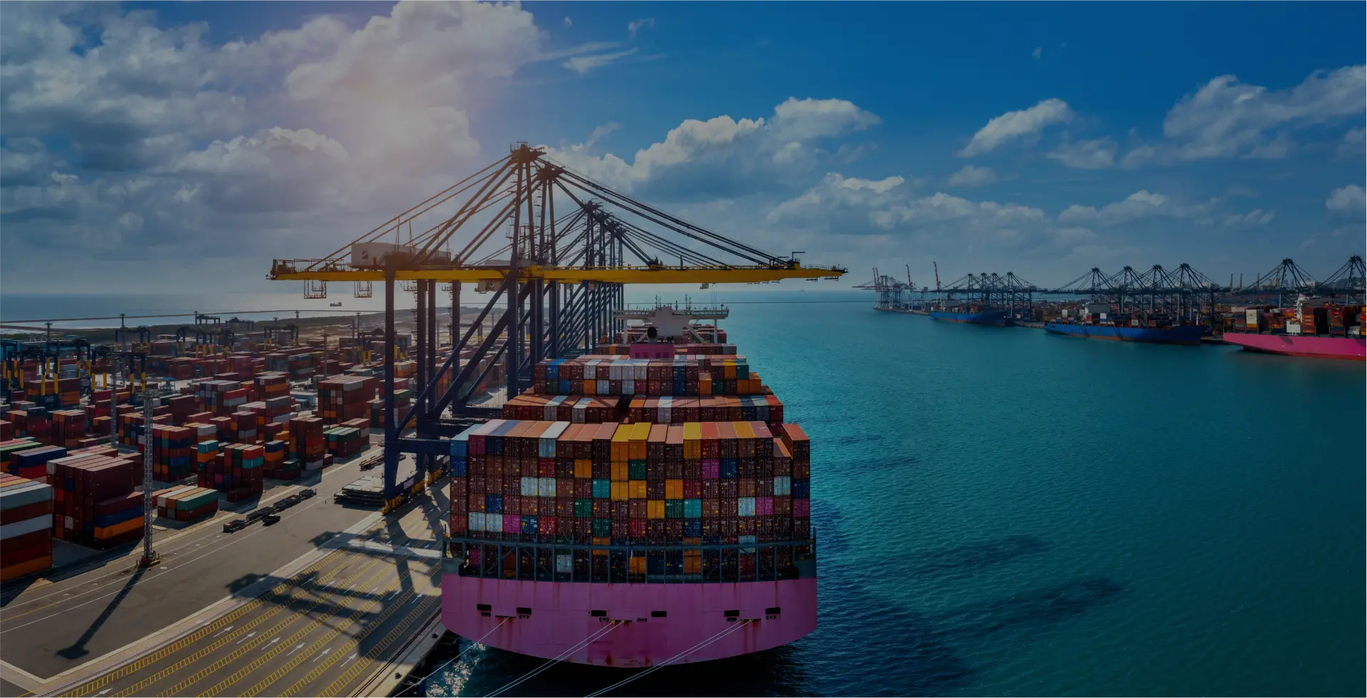 ASP.NET Core Development Company | .Net Core Development Services