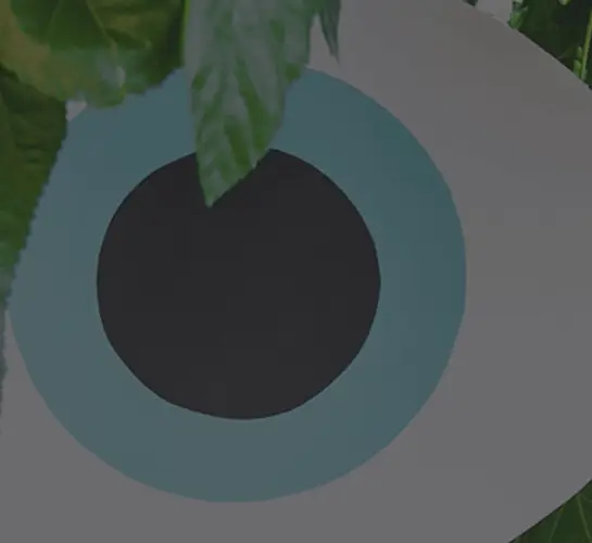 Distress Call Mobile Application Developed By Zealous System