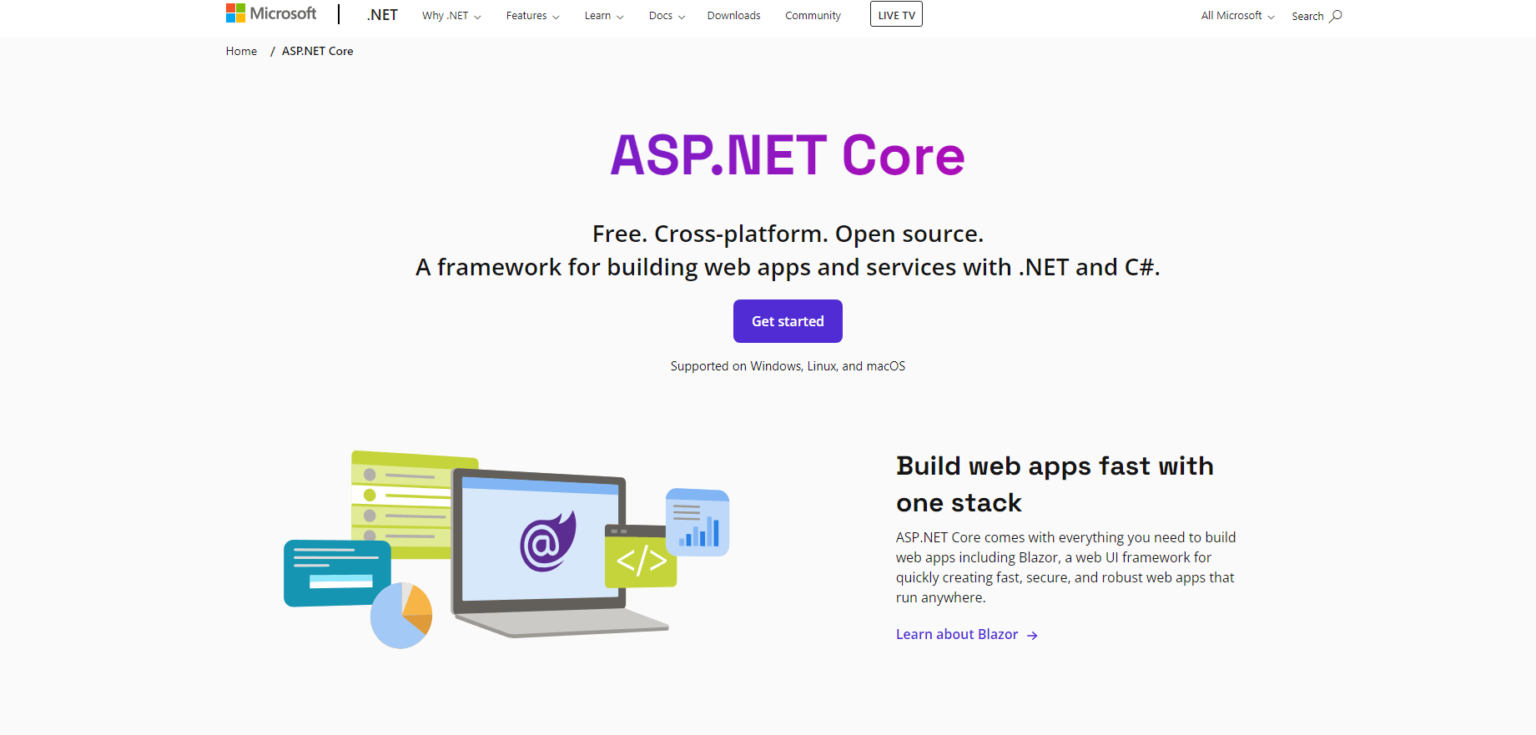 7 Best Backend Frameworks for Web App Development In 2025